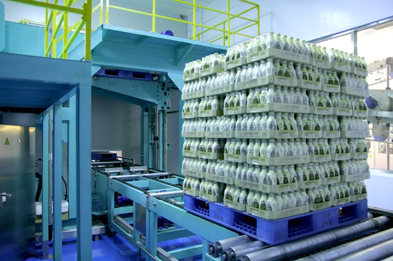 Auto Palletizer for Small and Large Packaging - JING HENG SING